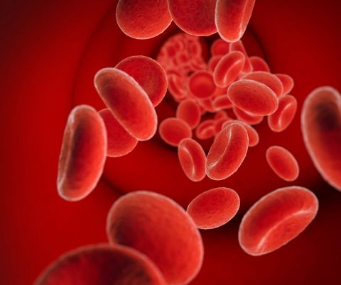 Ursachen und Symptome bei Wundinfektionen | Mediset