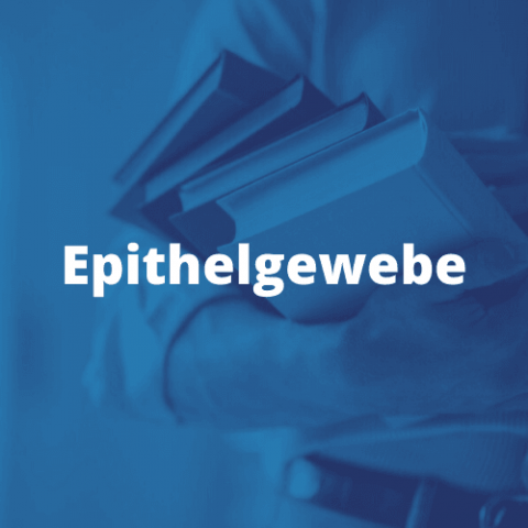 Mazeration in der Wundversorgung | Mediset GmbH